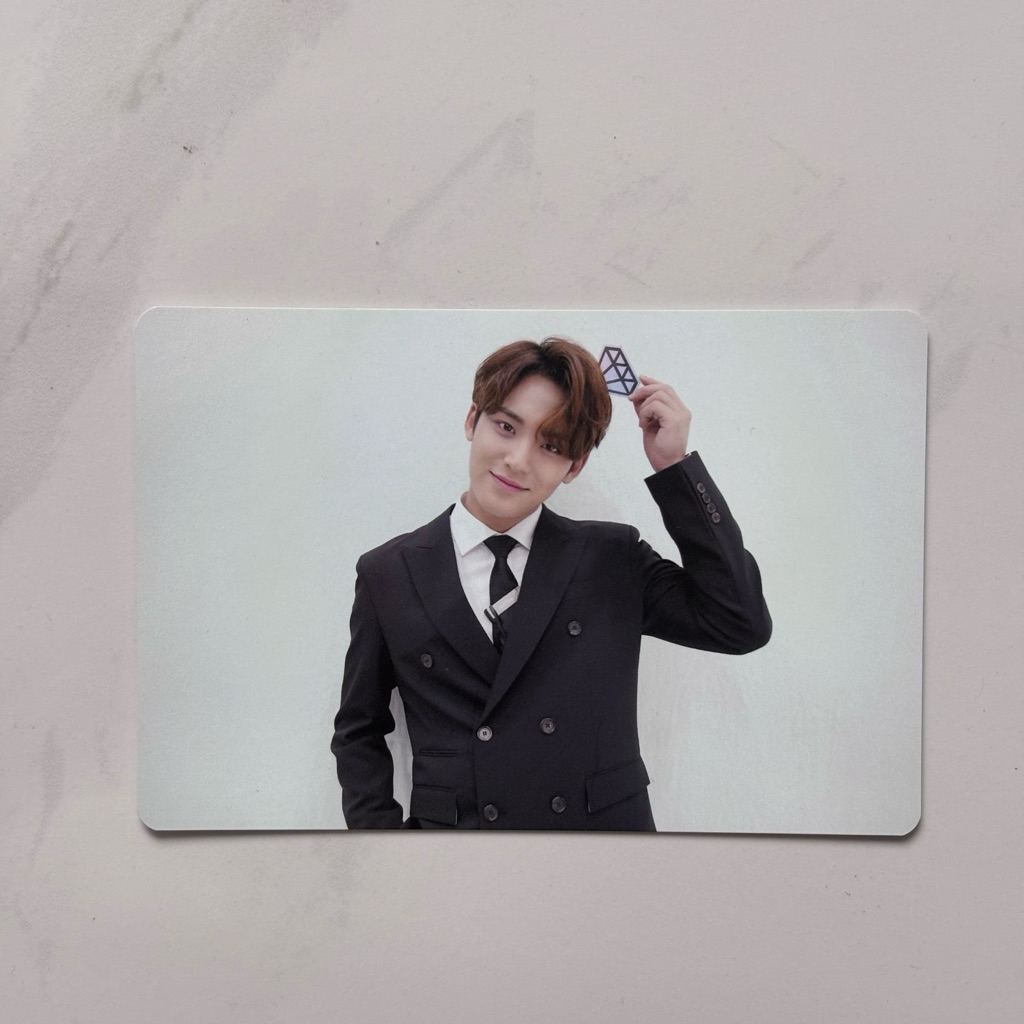 SEVENTEEN SVT MINGYU IDEAL CUT IN SEOUL CONCERT CARAT ZONE POSTCARD ...