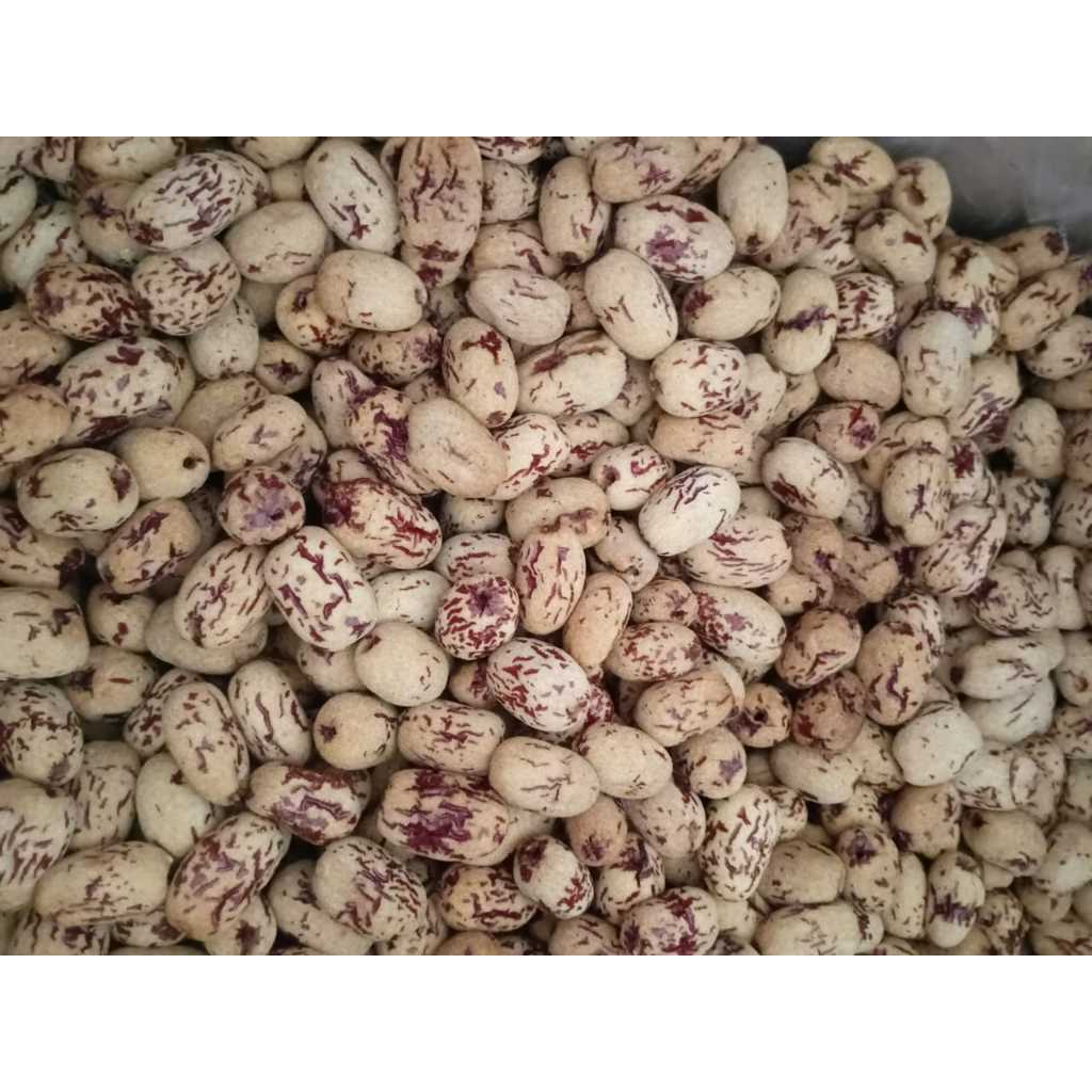 MERAH Angco Red Seedless Without Skin Red Dates Hong Zao Red Dates ...