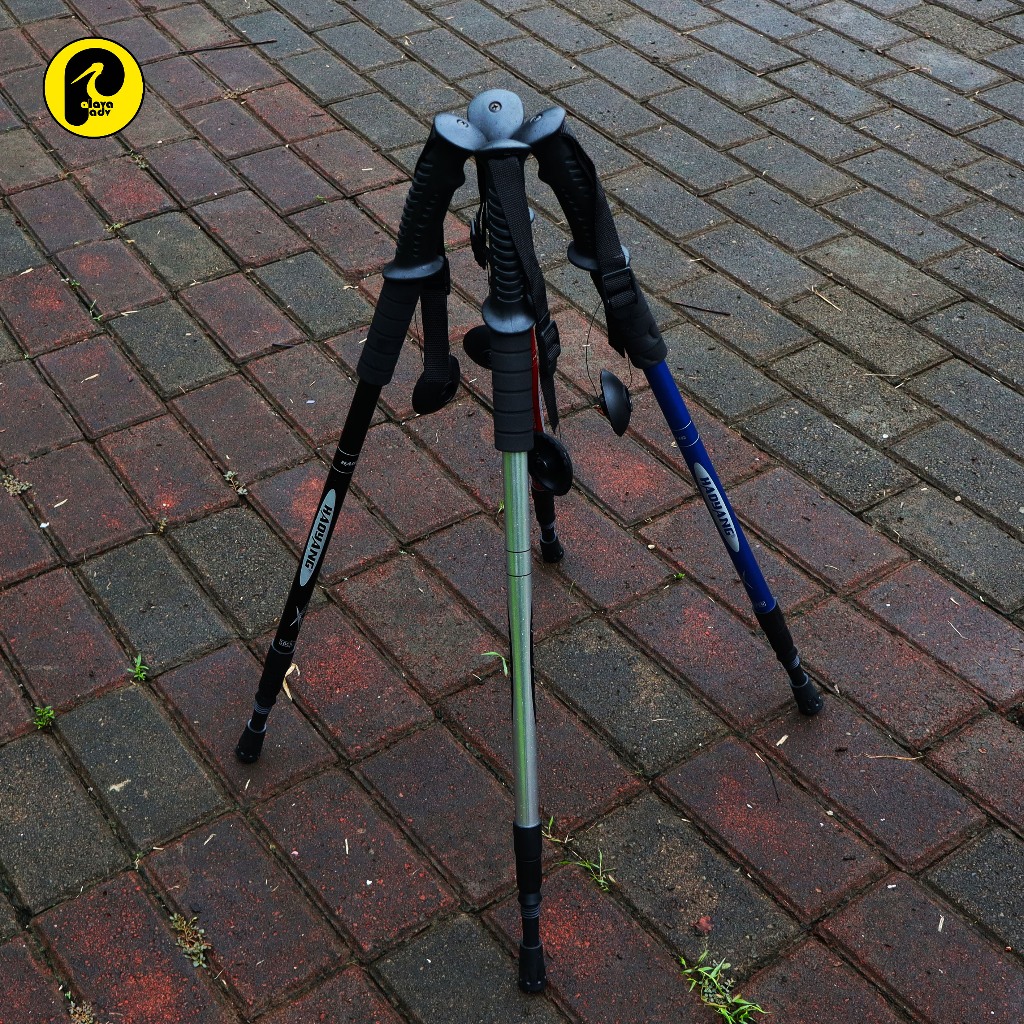 Trekking / tracking pole / mountain stick | Shopee Philippines