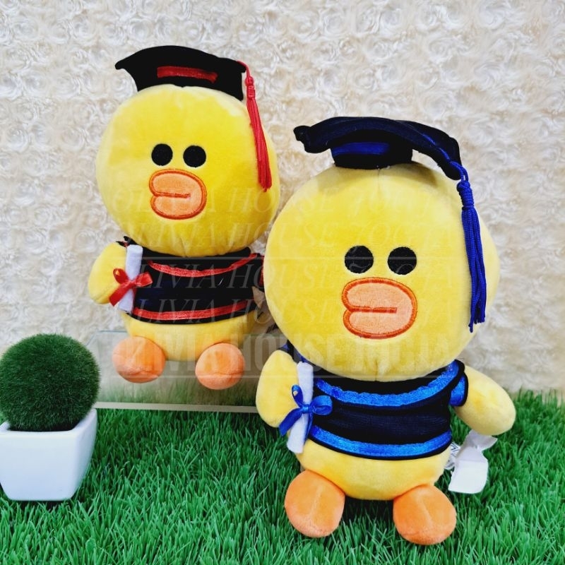 Yellow Duck Graduation Doll Poultry Duck Doll Graduation Duck Doll ...