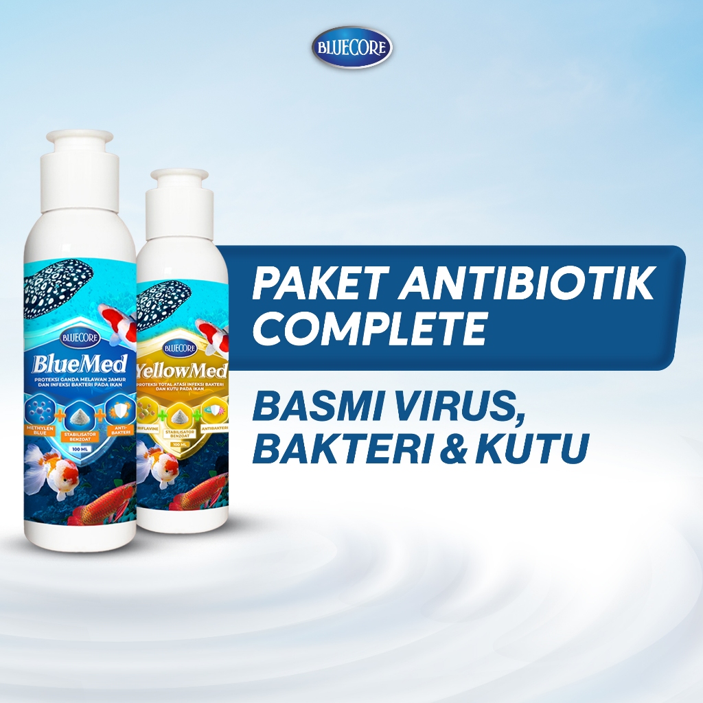 Bluecore Antibiotic Package to Eradicate Viruses, Bacteria and Fleas in ...
