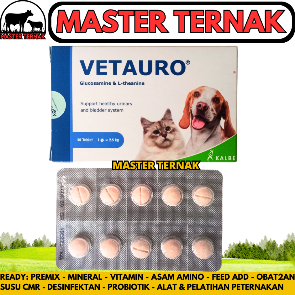 VETAURO 10 TABLETS (1 STRIP) - Urinary Tract Infection Supplement for ...