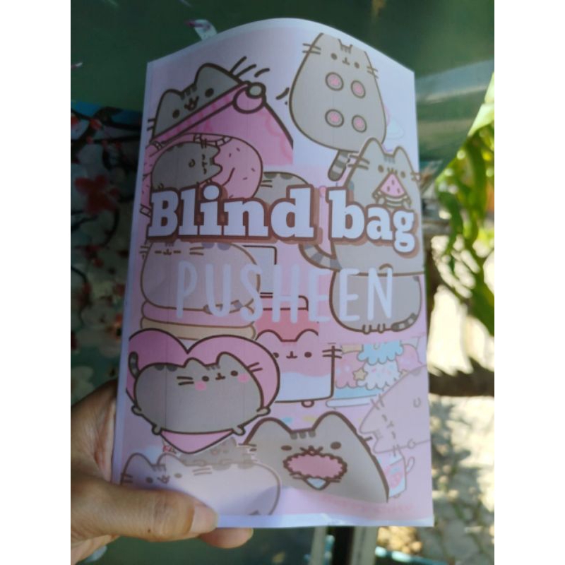 Blind bag pusheen squishy paper paper | Shopee Philippines