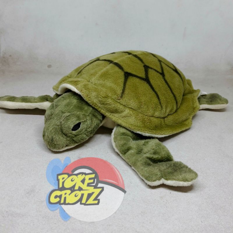 Sea Turtle MINUS Plush Stuffed Animal 25cm Turtle doll | Shopee Philippines
