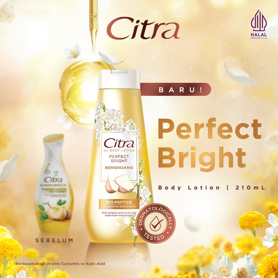 Citra UV Body Lotion Perfect Bright Bengkoang | Shopee Philippines