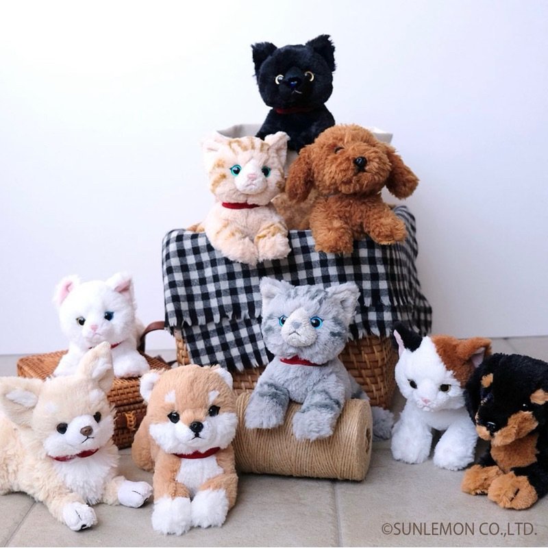 Dog Cat Sunlemon Dog Cat Doll | Shopee Philippines