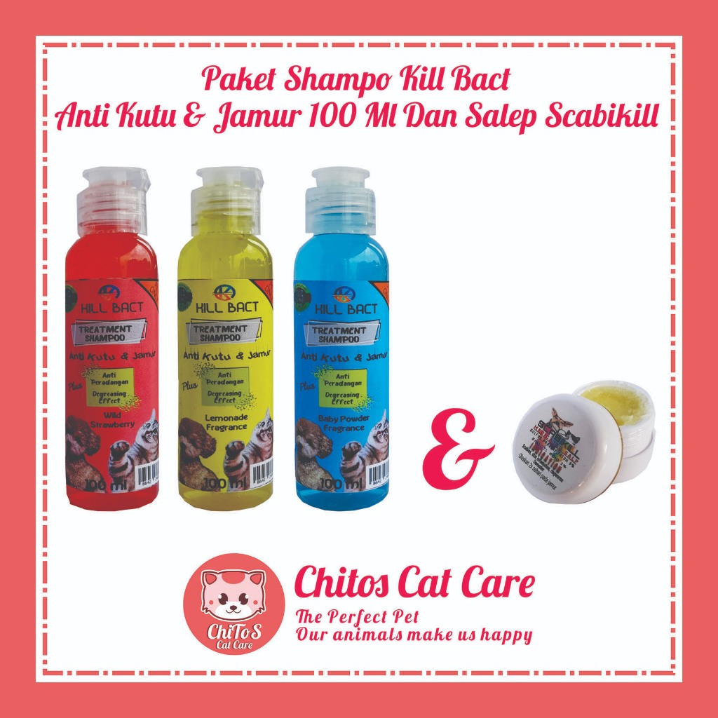 SAMPO Kill Bact Grooming Shampoo Package Anti Fungal and Flea Shampoo ...