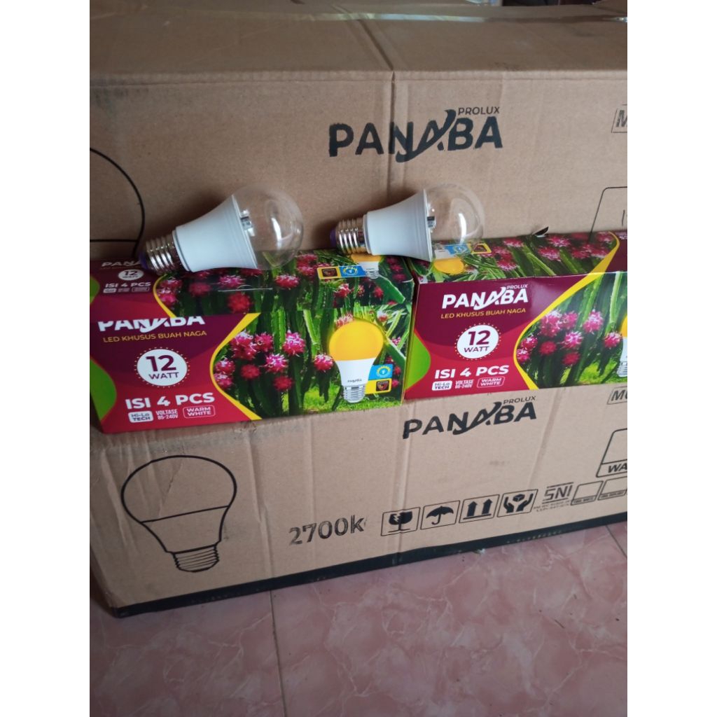 12 Watt clear panaba lamp (package contains 10 lights/10 balloons ...