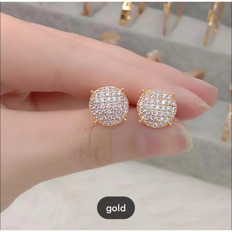 Korean Fashion Titanium Earrings, Beautiful, Luxurious, Anti-Fade ...