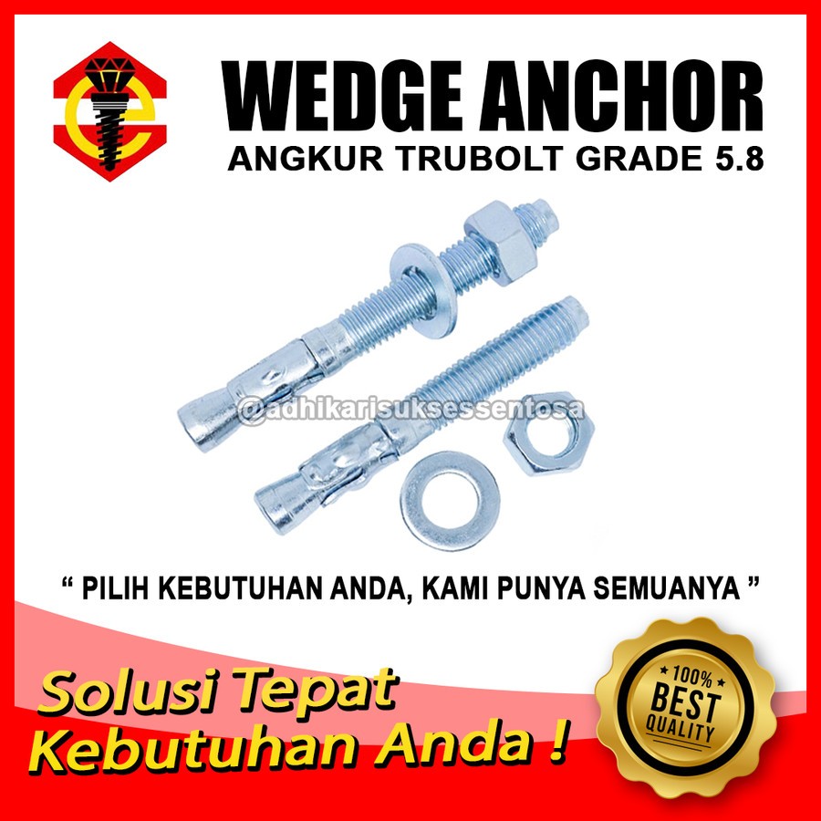 Trubolt M8x100 Anchor Wedge Anchor 8 x 100 (10 CM) | Shopee Philippines