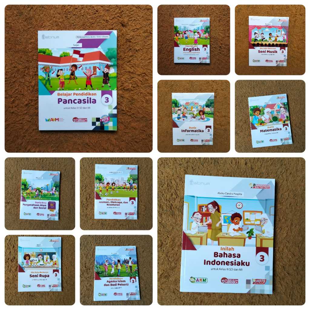 Elementary School Package Book for Class 3 Platinum Triad of ...