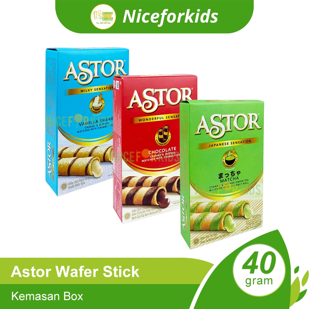 Astor Wafer Stick Box 40gr / Crispy Wafer Stick Snacks | Shopee Philippines