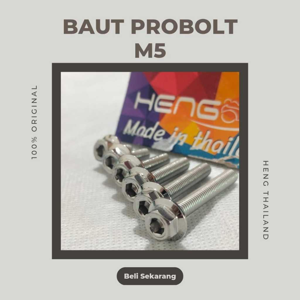 Probolt Bolt M5x10 M5x15 M5x20 M5x25 M5x30 M5x35 Stainless HENG 100% ...