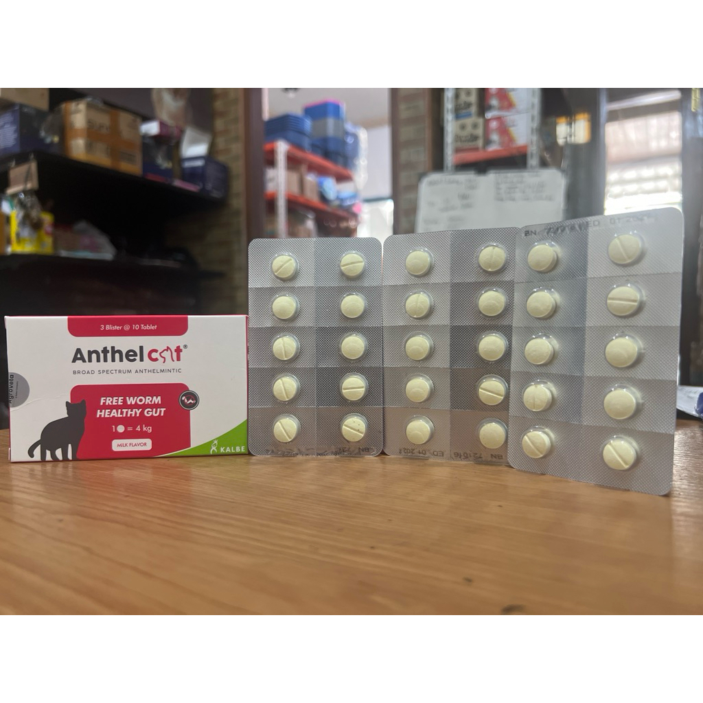 Anthel cat cat worm medicine contains 30 tablets | Shopee Philippines