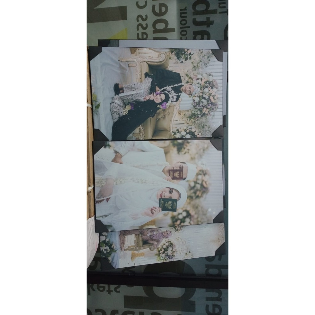 ALBATROS PRESSED PIGORA | Shopee Philippines