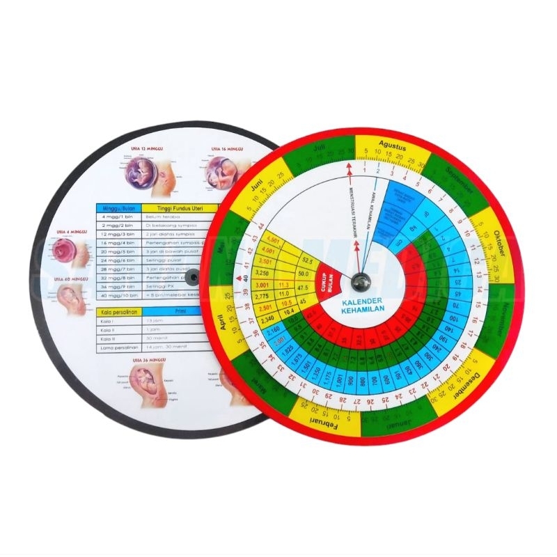 Linset Pregnancy Calendar Pregnancy Counting Calendar Ovutest Ovutes ...