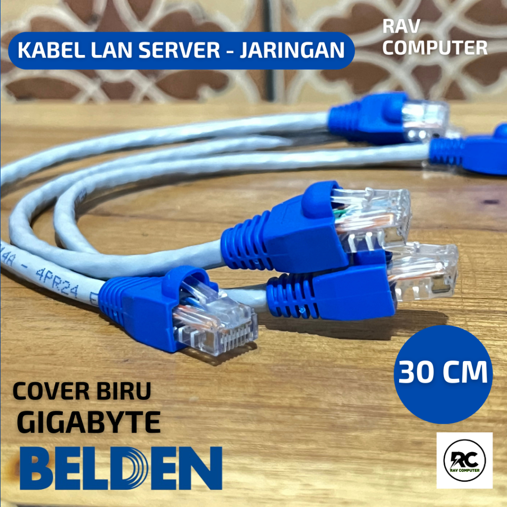 CUSTOM CAT 6 30 CM BELDEN SERVER LAN CABLE | Gigabyte | Ready to Use Network Server | Shopee ...
