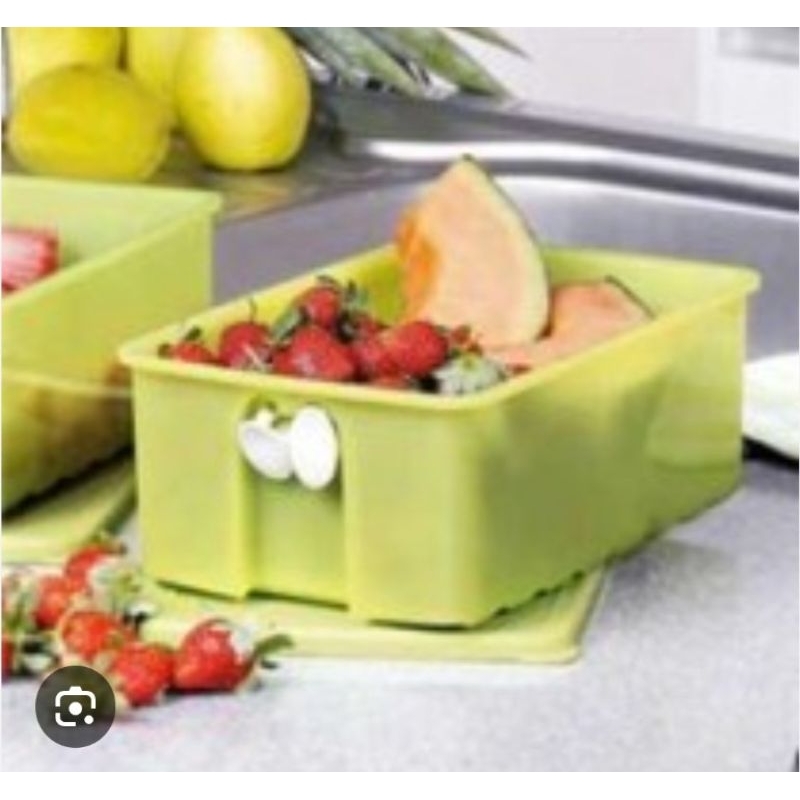 Fridgesmart Tupperware | Shopee Philippines