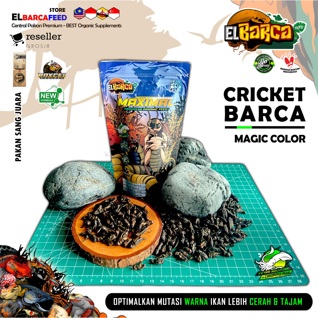 CRICKET BARCA Dried Crickets, food for channa, arowana, predators ...