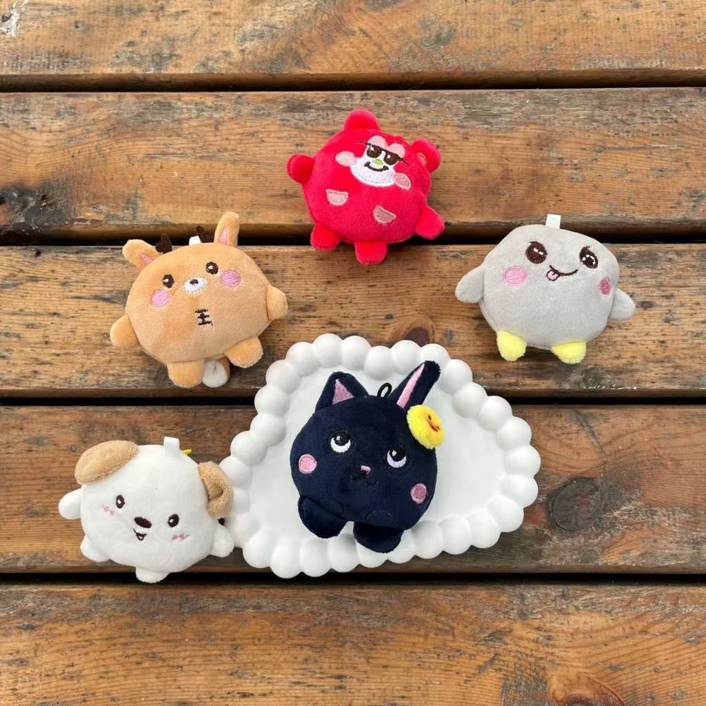 Riize Mini Doll Keyring Fancon Riizing DAY Md Plush Keychain | Shopee ...