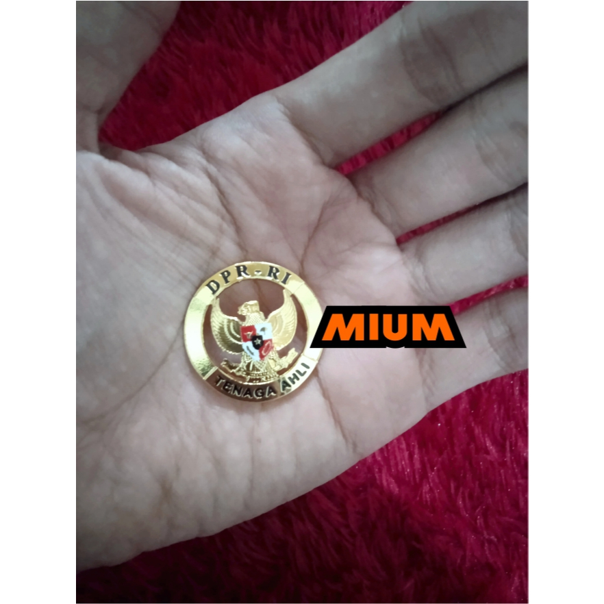 Dpr-ri POWERED DOUBLE GARUDA pin gold plated, custom pin, cool pin ...