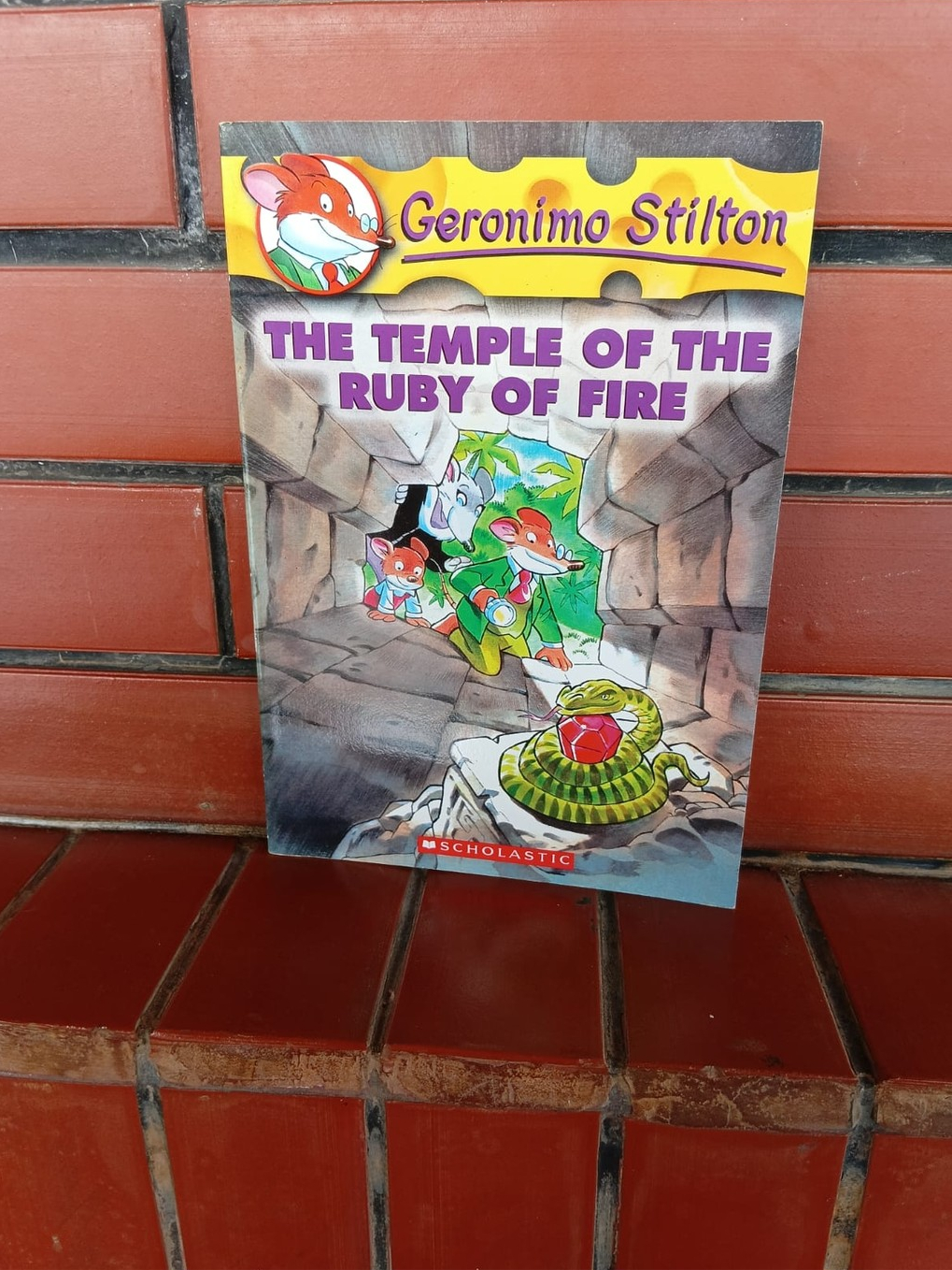 Geronimo Stilton The Temple of the Ruby of Fire Preloved English Children's Book | Shopee ...