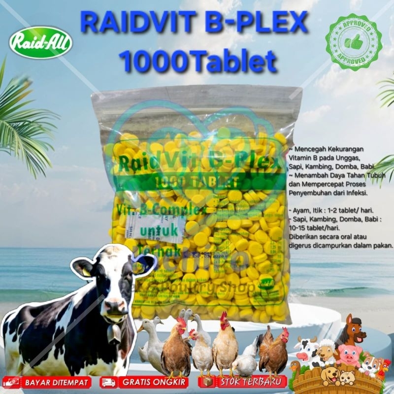 Raidvit B-Plex (Becomp) Bcomplex / Bkomplek Contains 1000 Raid All ...