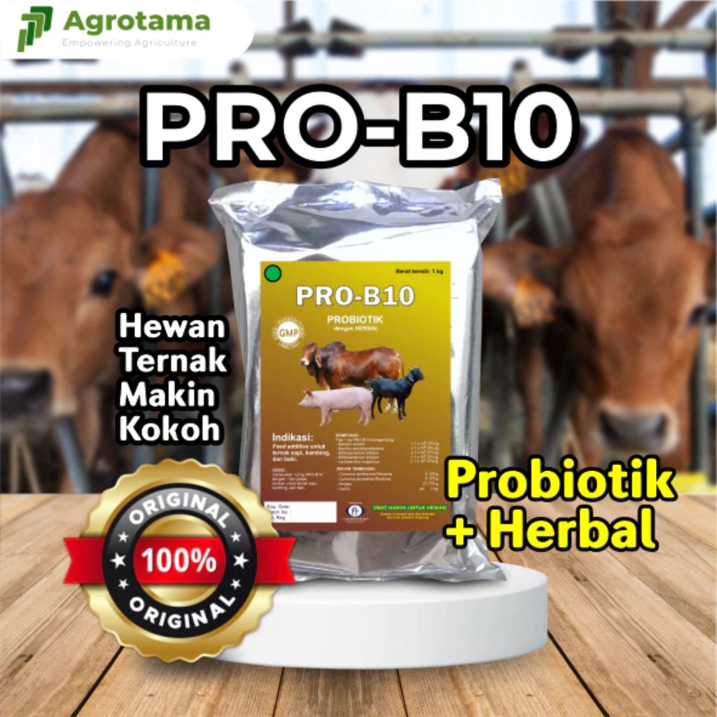 Probio 1 Kg Mineral Probiotic Premix Fattening Cattle Goats Sheep and ...