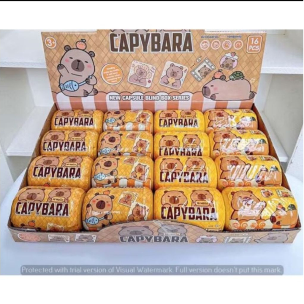 Capybara capsuleBLIND BOX unit | Shopee Philippines
