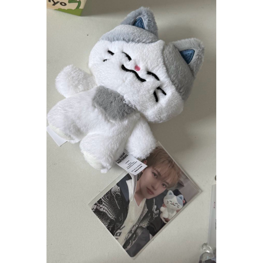 DOLL NCT DREAM X LINE FRIENDS DREAMIEZ NEW FULLSET UNSEALED LEMYO DOLL ...