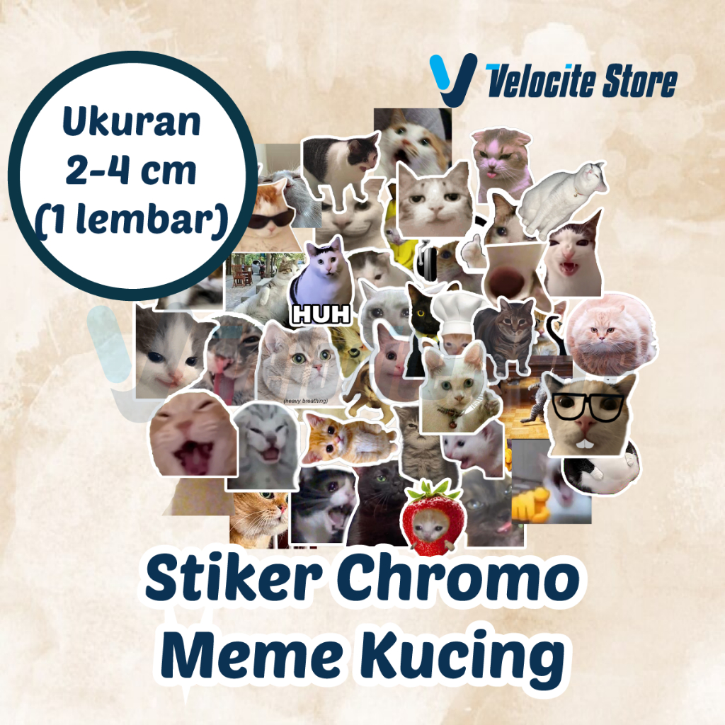 Chromo Meme Cat Sticker Size 2-4 cm (1 sheet) | Shopee Philippines