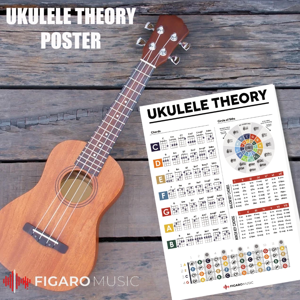 Poster UKULELE THEORY chords Poster, Chords Chart, Student Lesson ...