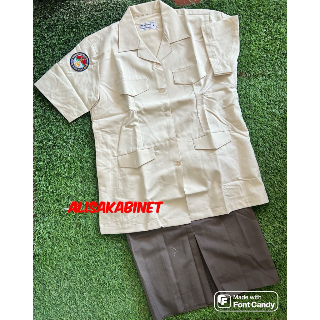 PDH Shirt, Women's Short Sleeve Ministry of Defense Top, TNI Quota ...