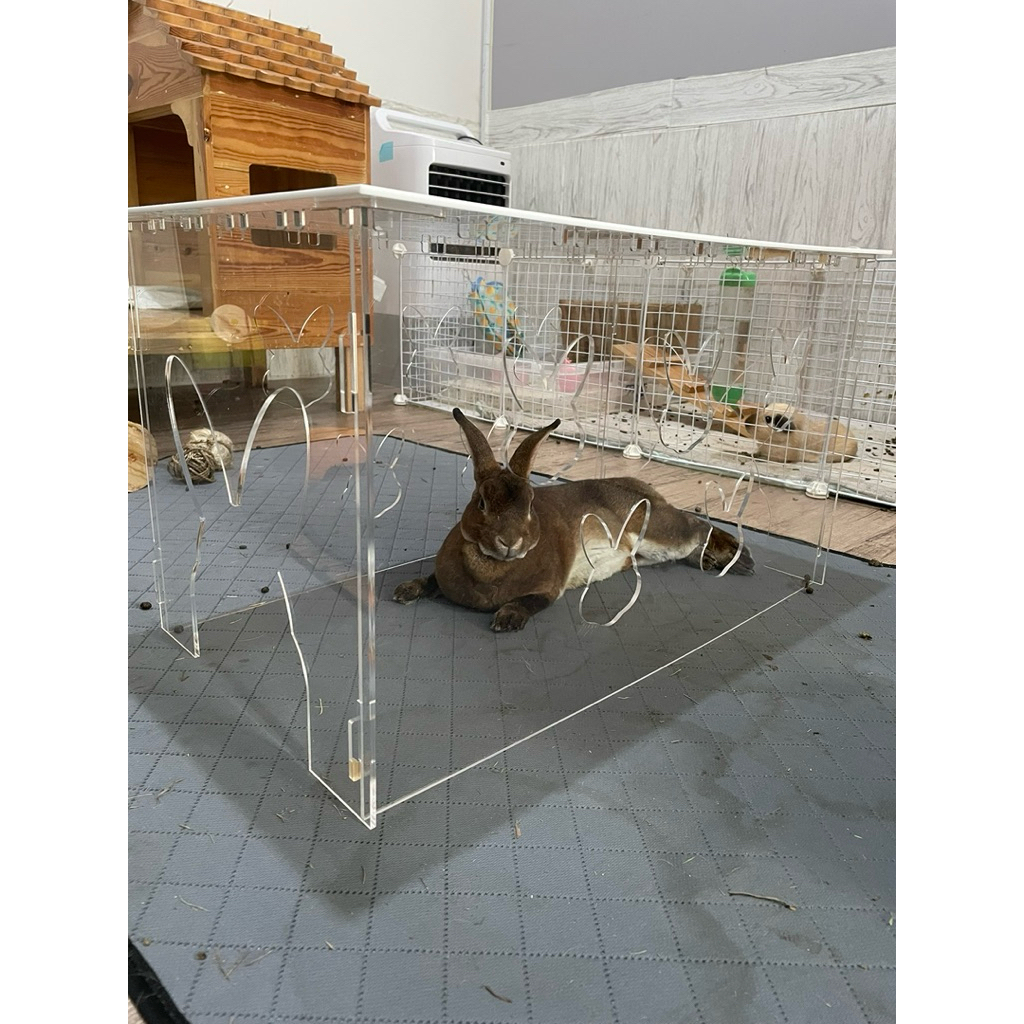 ONEL CRAFT BOLU ACRYLIC TUNNEL/ACRYLIC tunnel/rabbit house/rabbit ...