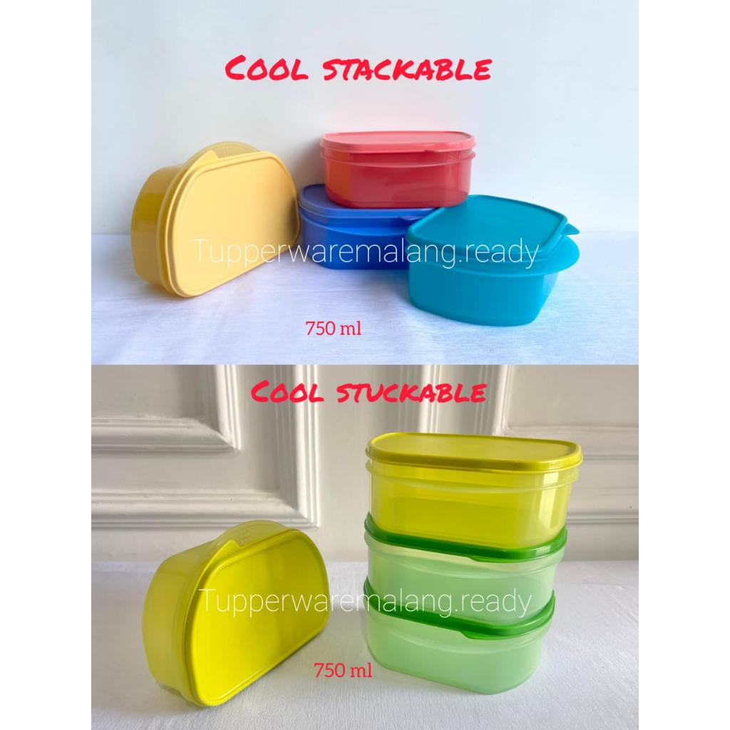 TUPPERWARE FRIDGE ORGANIZE LUNCH BOX COOL STILLABLE TUPPERWARE SNACK ...