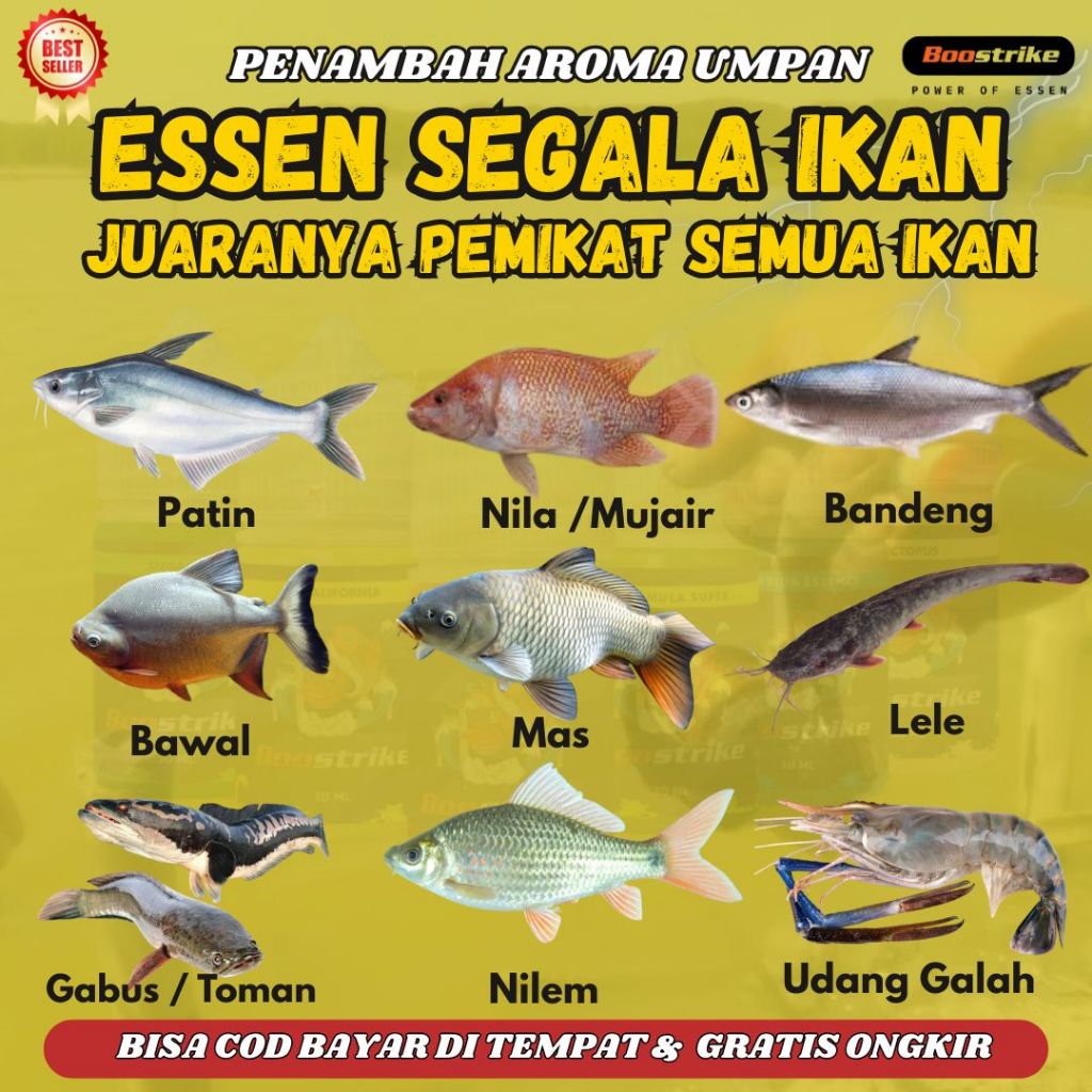 Super Gacor Fish Lure Essence Fishing Bait for All Types of Fish Target ...