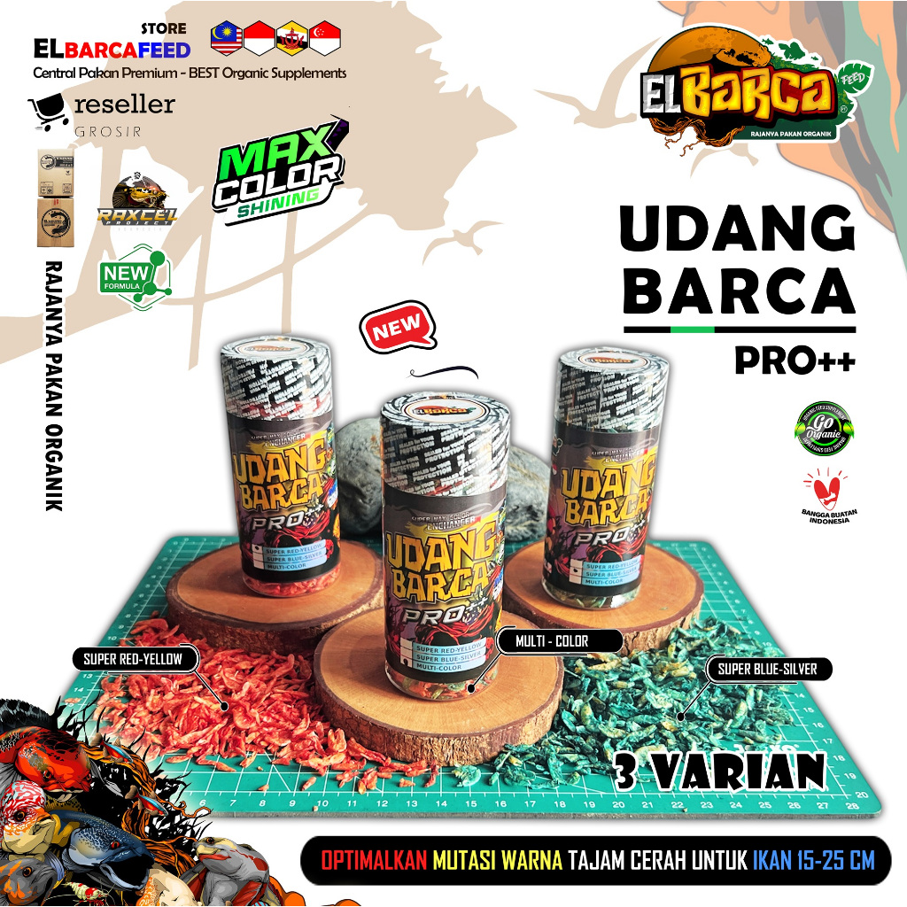 BARCA PRO SHRIMP Increase the color of channa predator tankmate koki ...