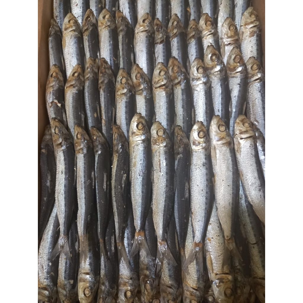 TAMBAN SALTED FISH, DRY BOILED TRIMIN, DELICIOUS, NOT SALTY | Shopee ...