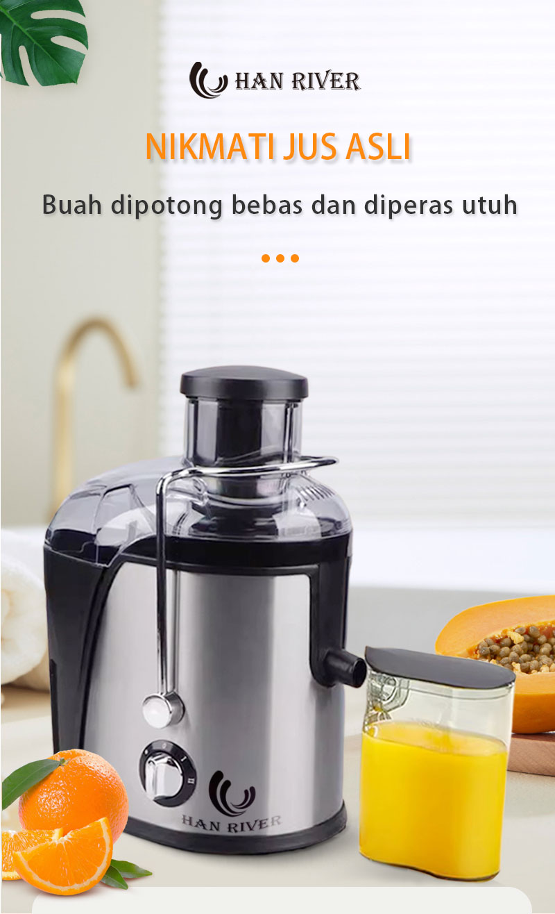 Han RIVER Multifunctional Slow Juicer HRPBJ01-01 300ML Fruit Juice ...