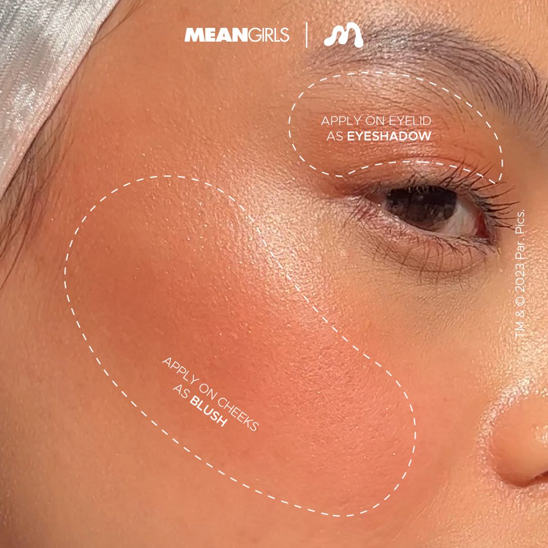 MAD MAD MAD | Mean Girls Individual 2IN1 Powder to Butter Blush ...