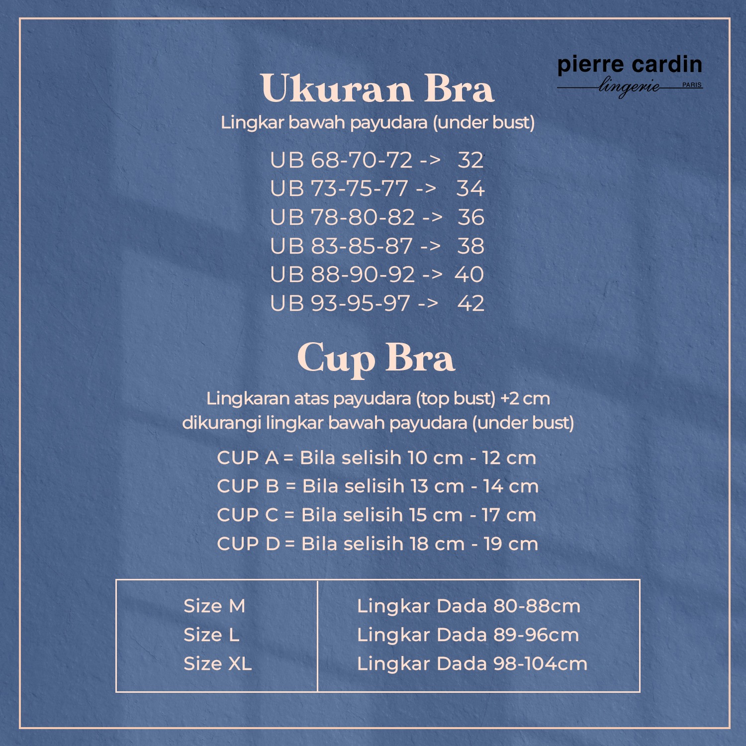 Pierre Cardin Bra Chic Living Push Up 609-62460B | Shopee Philippines