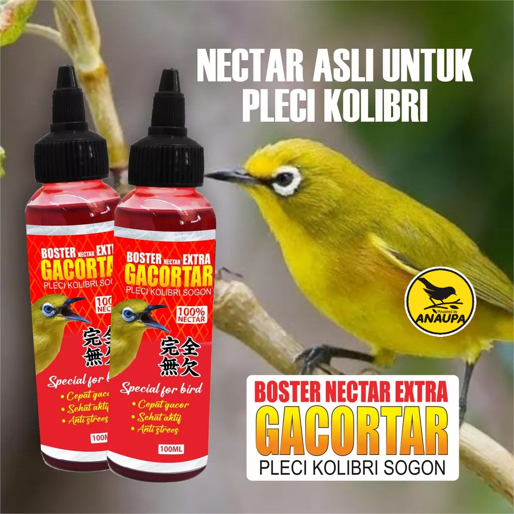 Nectar PLECI Sogantar Special PLECI KOLIBRI SOGON | Shopee Philippines
