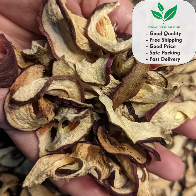 Dried Mahkota Dewa Fruit 1 Kg Organic Premium Quality | Shopee Philippines