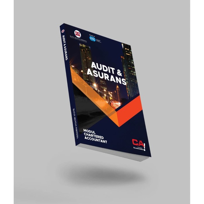 CA Module - Audit & Assurance | Shopee Philippines