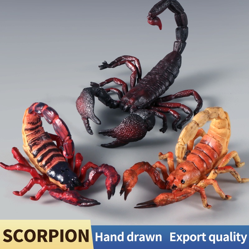 Solid Simulation Insect Animal Model Arthropod Scorpion Action Figures ...