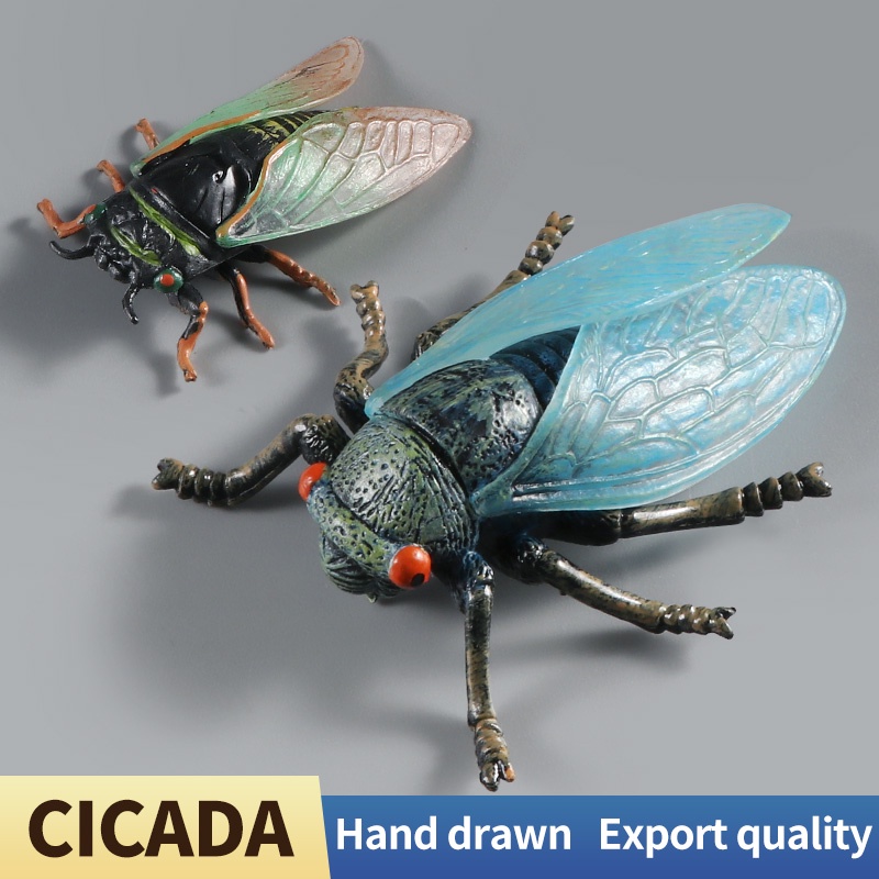 Solid Simulation Insect Animal Model Cicada Action Figures Boys Girls ...