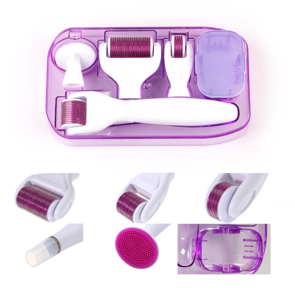 6 IN 1 Pro Derma Roller Kit Titanium Microneedling Anti Aging Acne ...