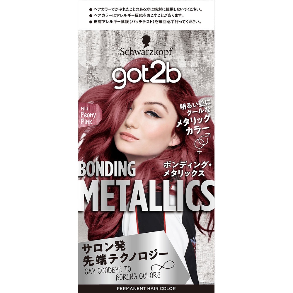 Henkel Lion Cosmetics got2b Hair Color for Black Hair Black hair ...