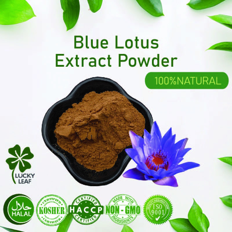 Blue Lotus Extract Powder/Sleep Aid/Natural Herb Support/Anthocyanins ...