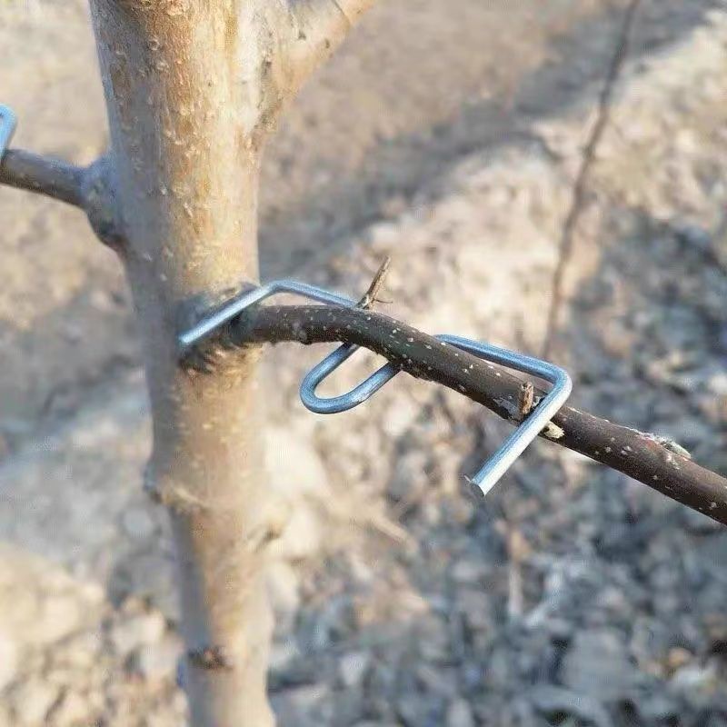 M-type branch pulling device, fruit tree branch pulling device, w-type ...